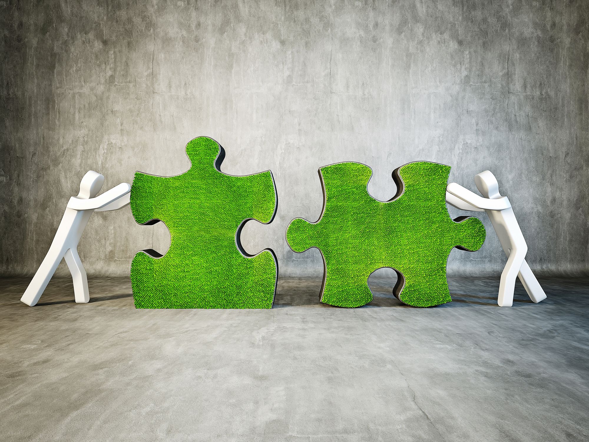 Quiénes son nuestros socios de negocio y que aprenderás de ellos